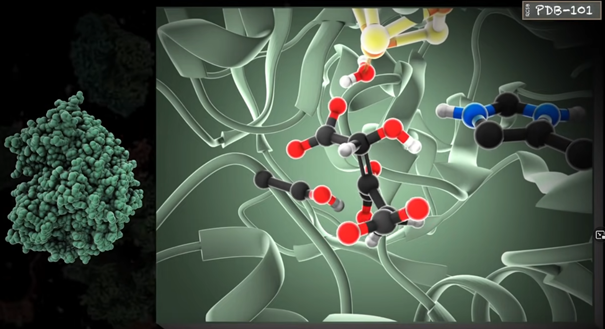 Enzymy – Studium chemie, PřF UK